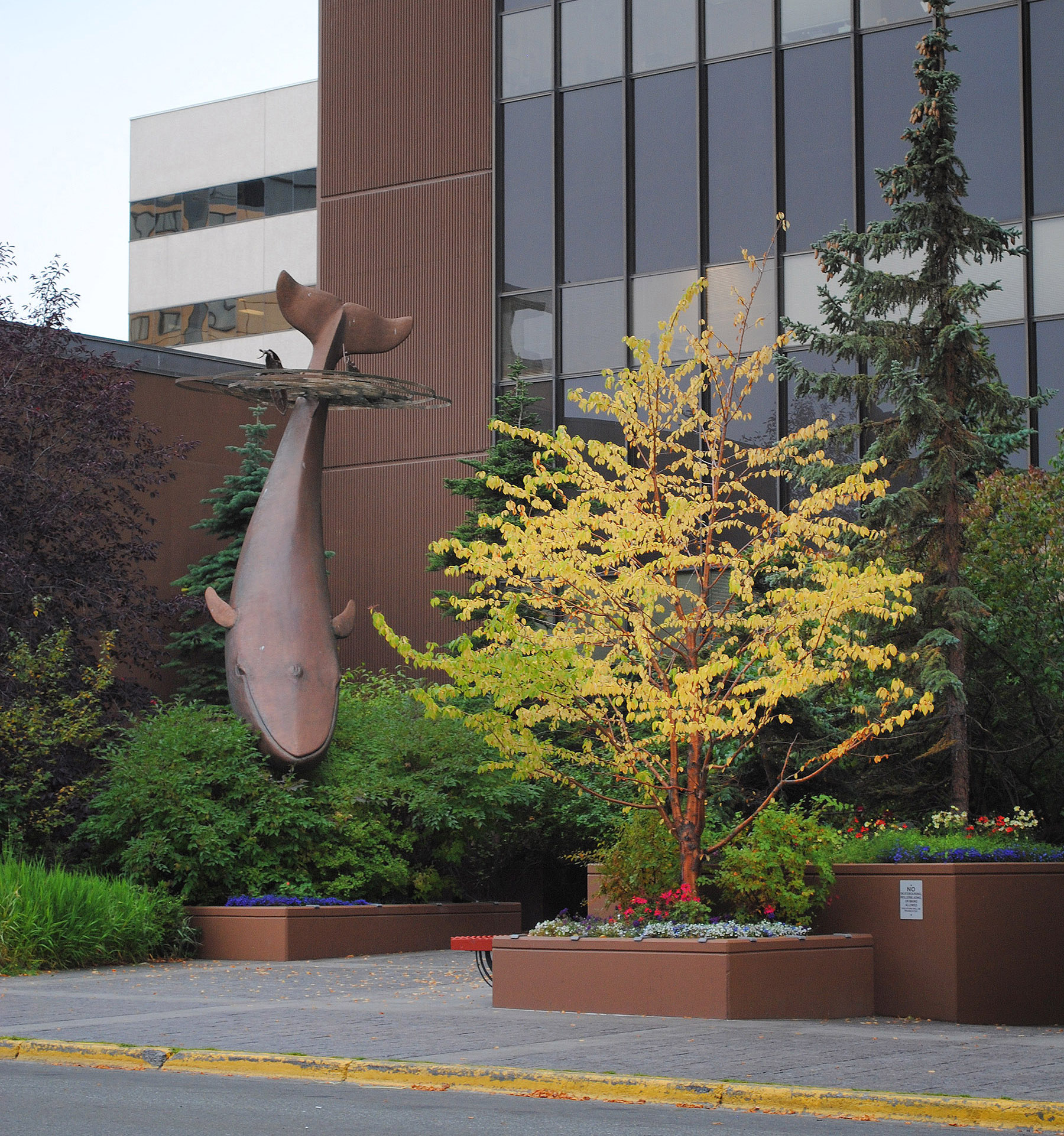 Carr Gottstein (Whale) Building – Denali Commercial